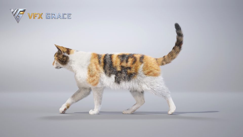 Calico Cat01 Animation - UE Character Asset | VFX Grace