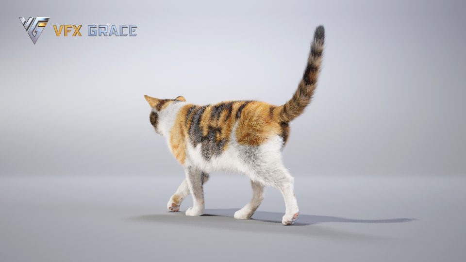 Calico Cat01 Animation - UE Character Asset | VFX Grace