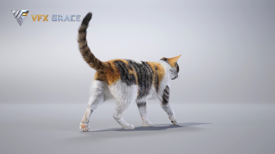 Calico Cat01 Animation - UE Character Asset | VFX Grace