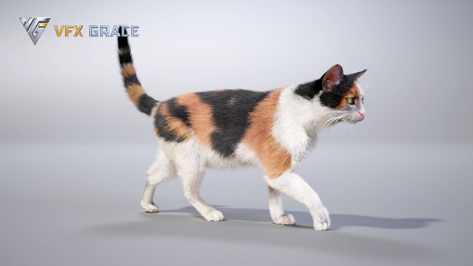 Calico Cat02 Animation - UE Character Asset | VFX Grace