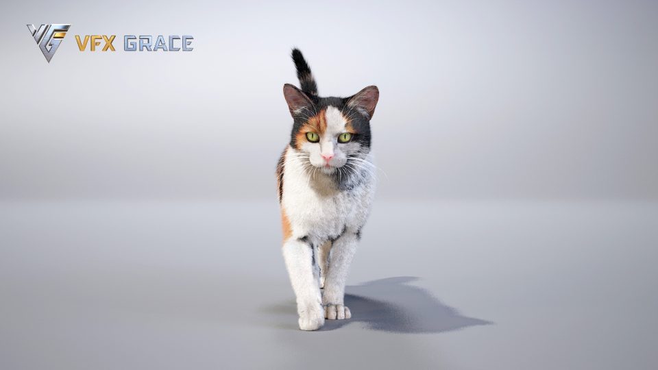 Calico Cat02 Animation - UE Character Asset | VFX Grace