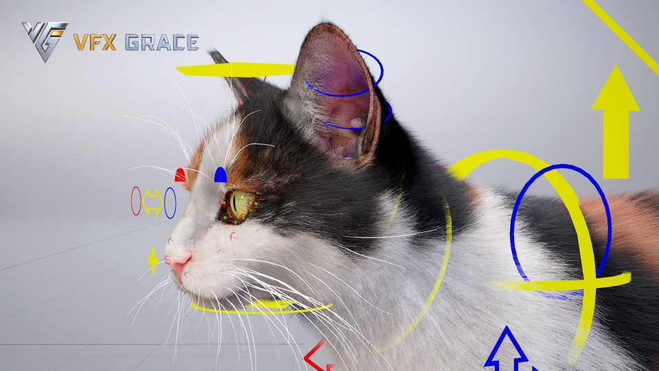 Calico Cat02 Animation - UE Character Asset | VFX Grace
