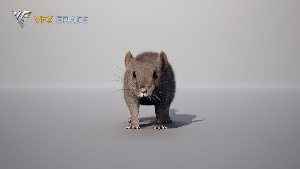 Rat (Mouse) Animation - UE Character Asset | VFX Grace