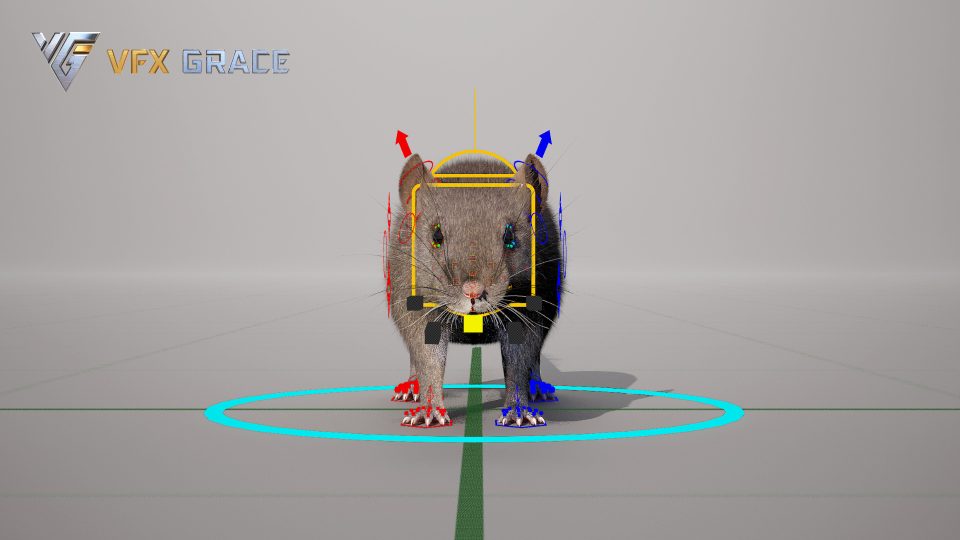 Rat (Mouse) Animation - UE Character Asset | VFX Grace