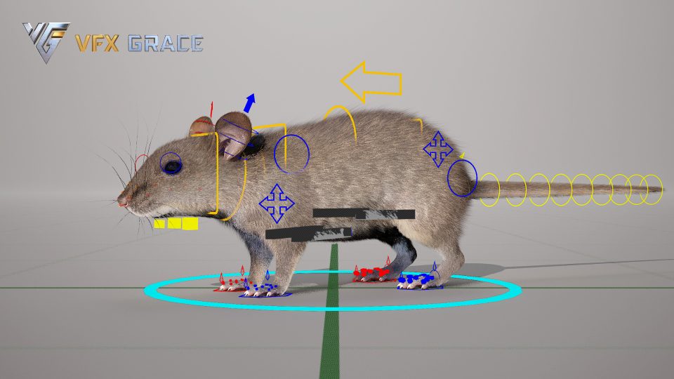 Rat (Mouse) Animation - UE Character Asset | VFX Grace