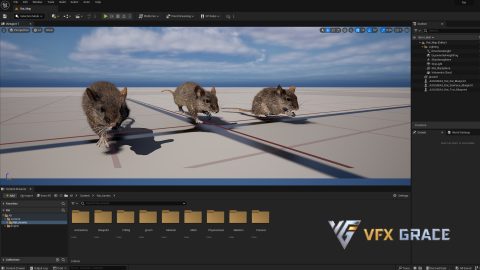 Rat (Mouse) Animation - UE Character Asset | VFX Grace