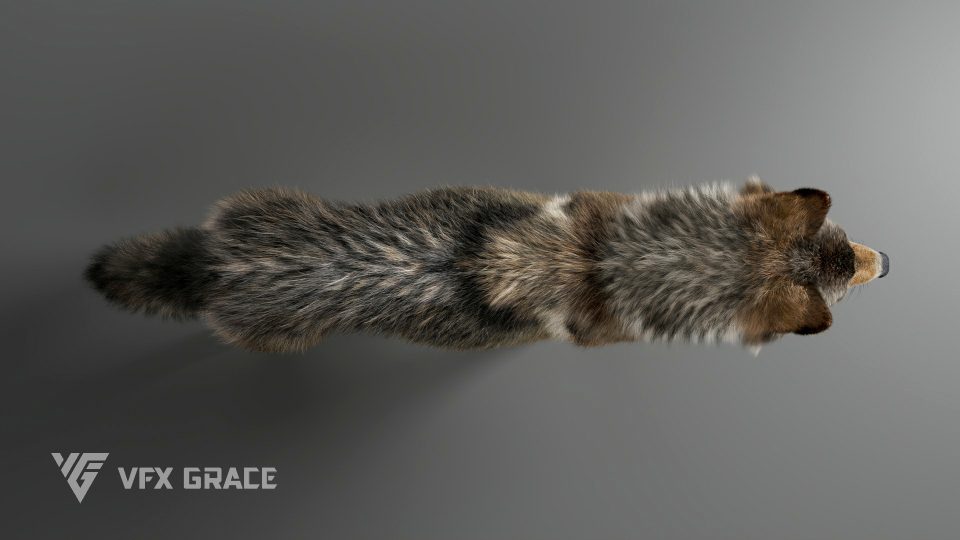 Wolf Animation - MAYA Character Asset | VFX Grace