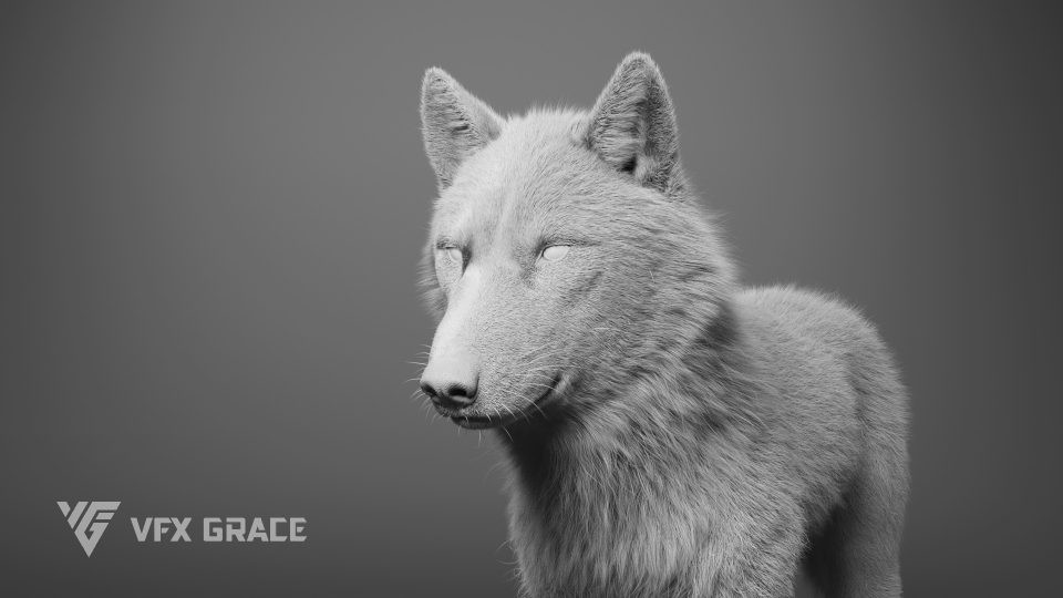 Wolf Animation - MAYA Character Asset | VFX Grace