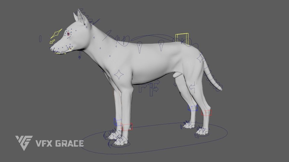 Wolf Animated - MAYA Character Asset | VFX Grace