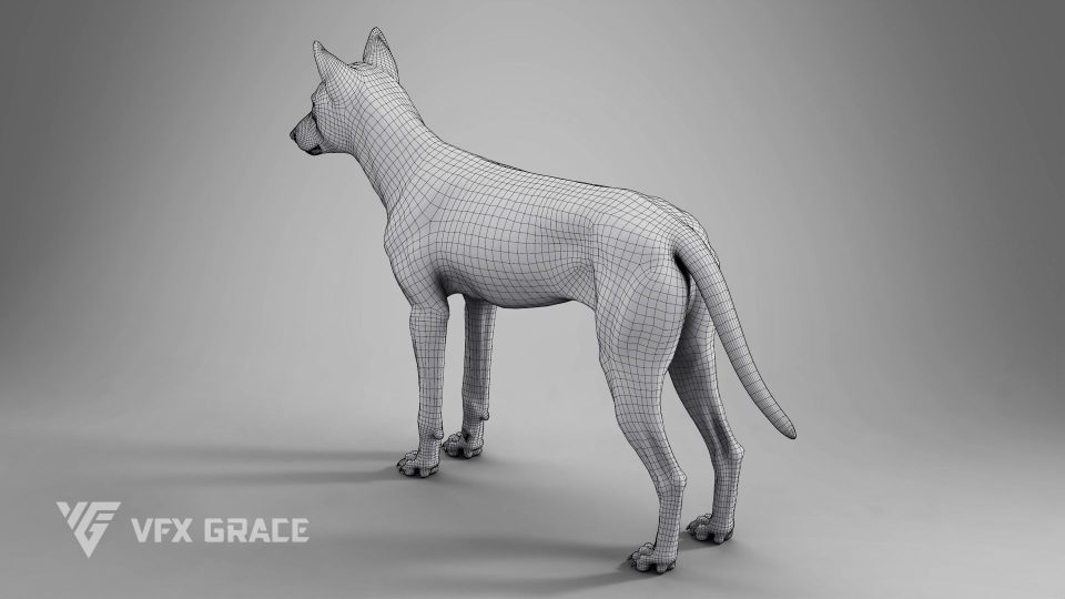 Wolf Animation - MAYA Character Asset | VFX Grace