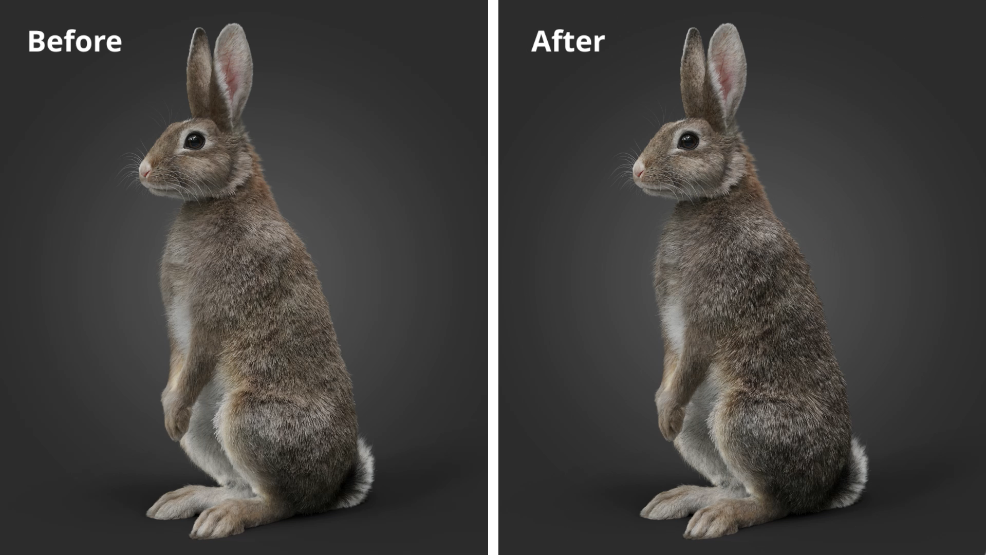 Realism in Blender Hair with Variegated Textures | VFX Grace