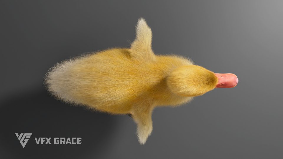 Duckling Animated - MAYA Character Asset | VFX Grace