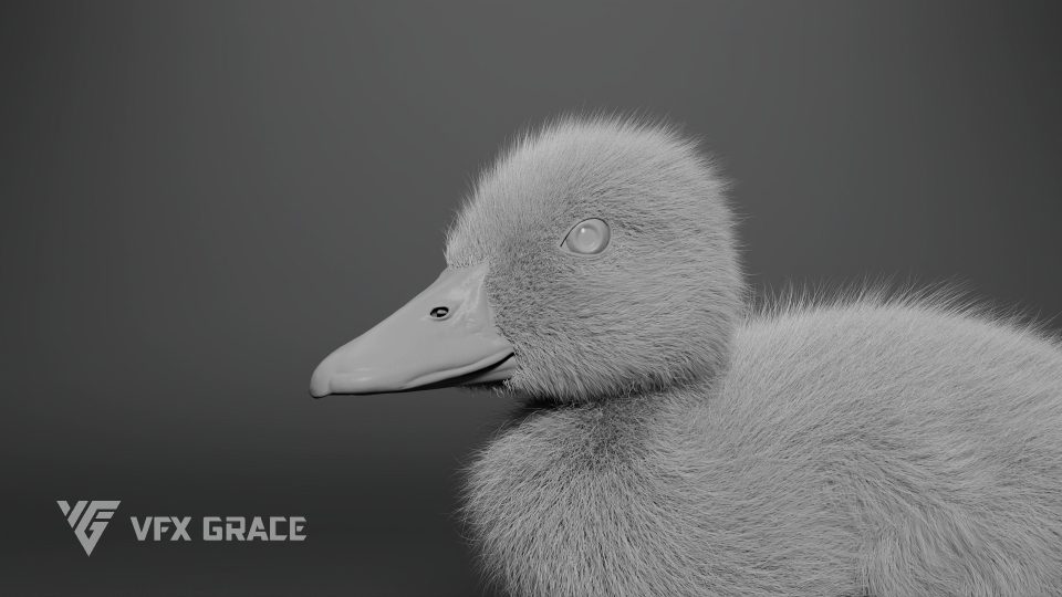 Duckling Animation - MAYA Character Asset | VFX Grace