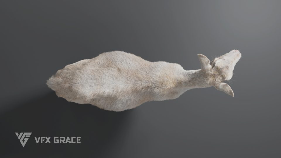 Goat 03 Animated - MAYA Character Asset | VFX Grace
