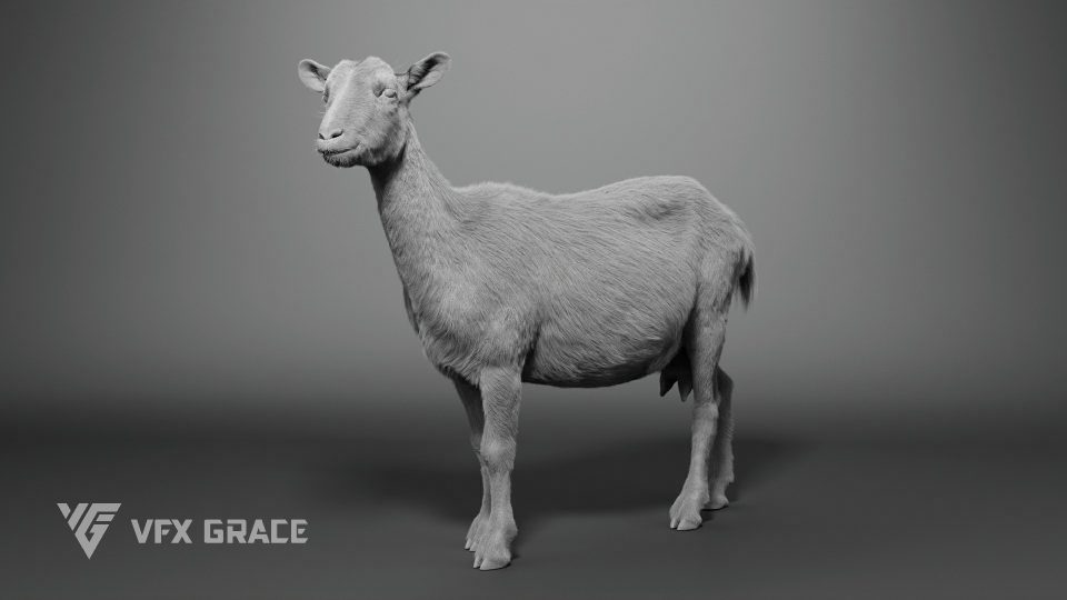 Goat 03 Animated - MAYA Character Asset | VFX Grace