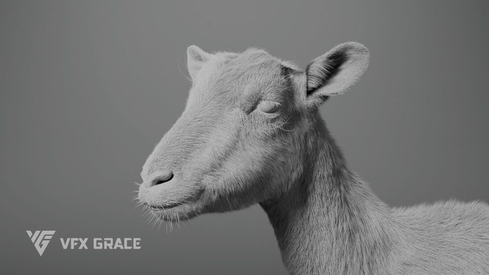 Goat 03 Animated - MAYA Character Asset | VFX Grace
