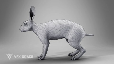 Hare Animation - MAYA Character Asset | VFX Grace