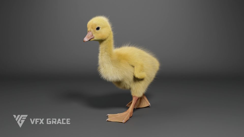 Little Goose Animated - MAYA Character Asset | VFX Grace