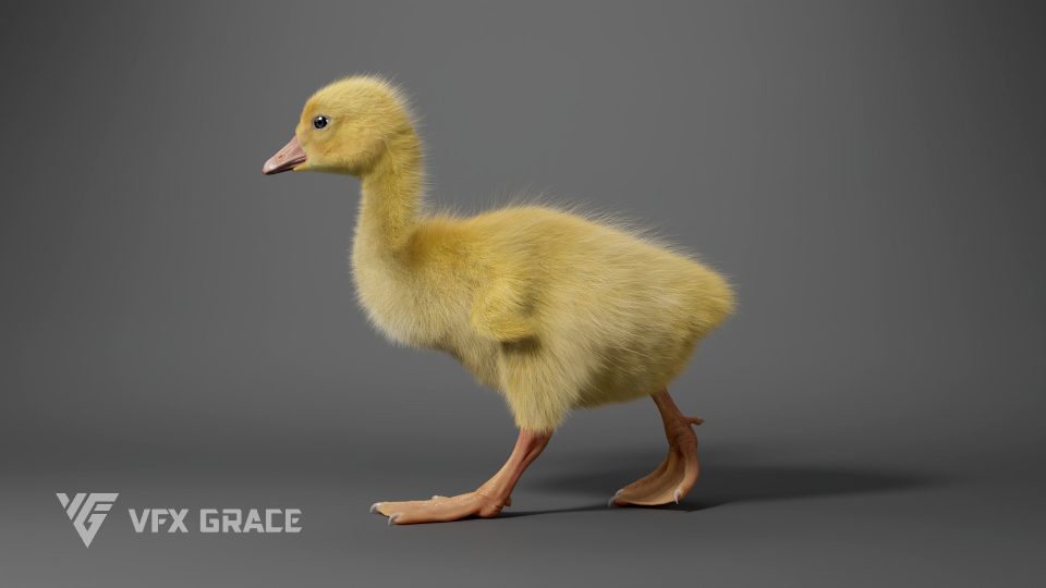 Little Goose Animated - MAYA Character Asset | VFX Grace