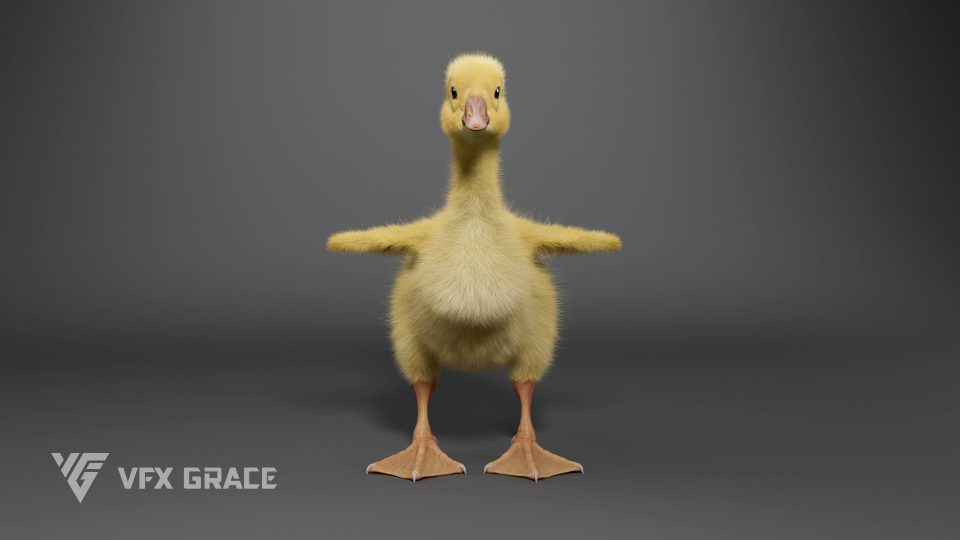 Little Goose Animated - MAYA Character Asset | VFX Grace
