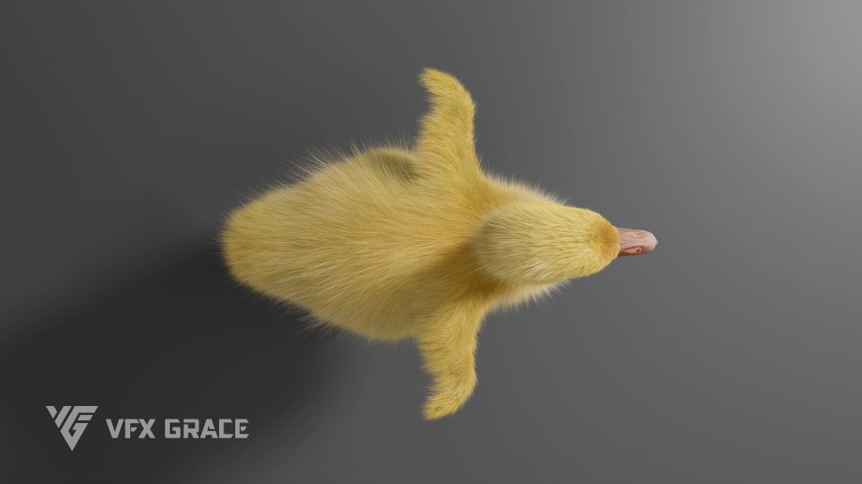 Little Goose Animated - MAYA Character Asset | VFX Grace