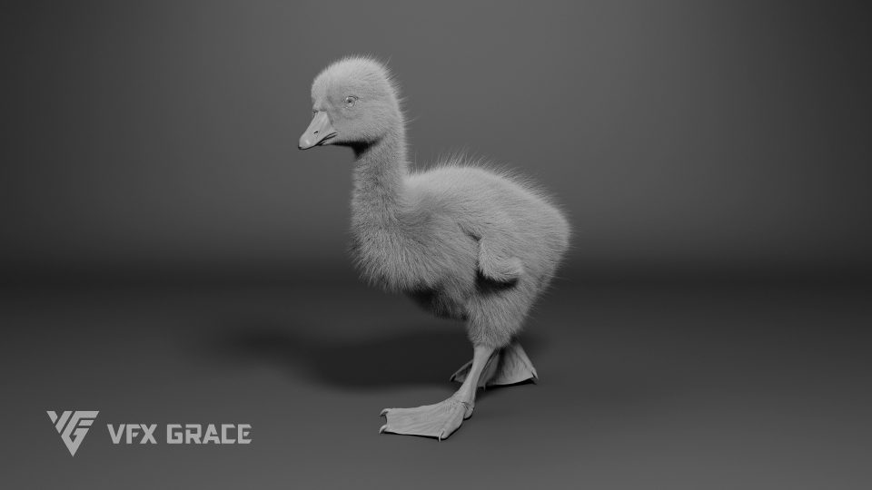 Little Goose Animated - MAYA Character Asset | VFX Grace