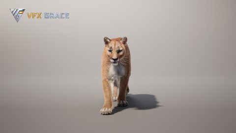 Puma Animation - UE Character Asset | VFX Grace