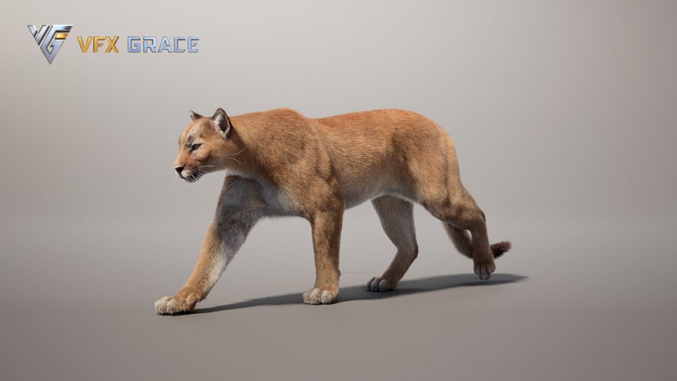 Puma Animation - UE Character Asset | VFX Grace