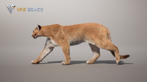 Puma Animation - UE Character Asset | VFX Grace