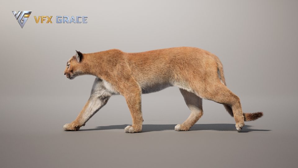 Puma Animation - UE Character Asset | VFX Grace