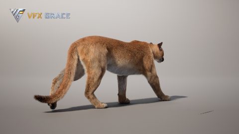 Puma Animation - UE Character Asset | VFX Grace