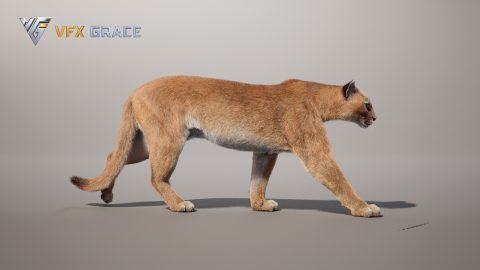 Puma Animation - UE Character Asset | VFX Grace