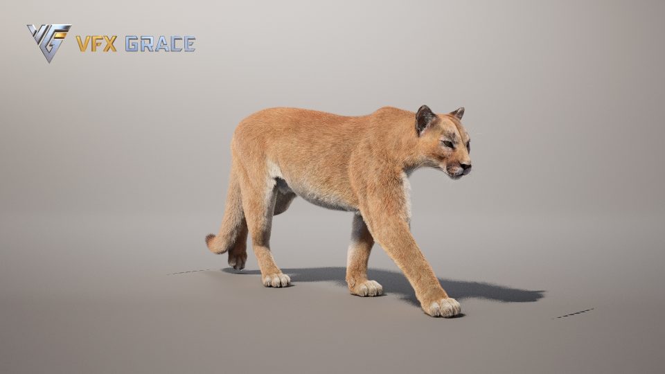 Puma Animation - UE Character Asset | VFX Grace