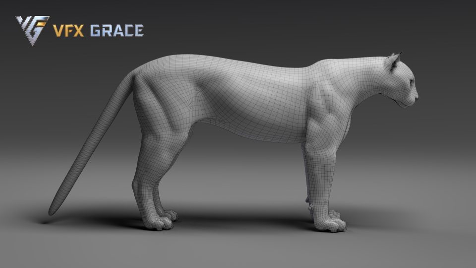 Puma Animation - UE Character Asset | VFX Grace