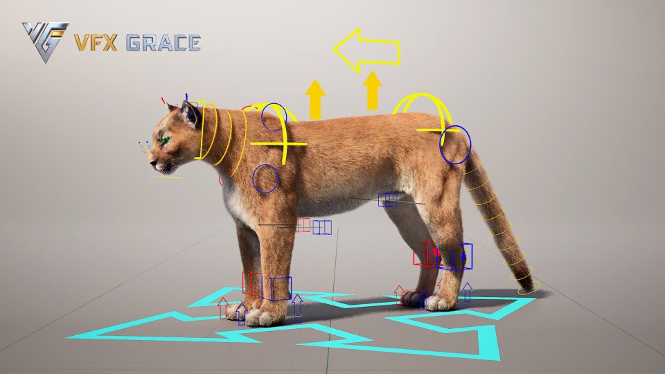 Puma Animation - UE Character Asset | VFX Grace