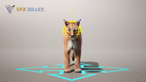 Puma Animation - UE Character Asset | VFX Grace