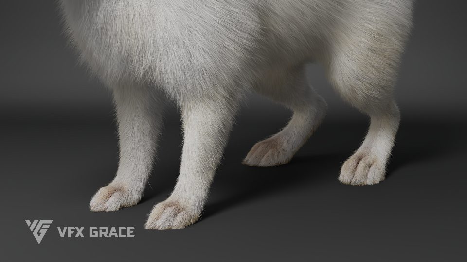 White Rabbit Animated - MAYA Character Asset | VFX Grace