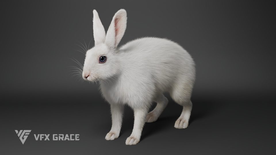 White Rabbit Animated - MAYA Character Asset | VFX Grace