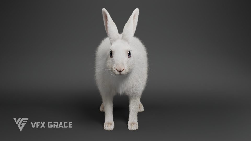 White Rabbit Animated - MAYA Character Asset | VFX Grace
