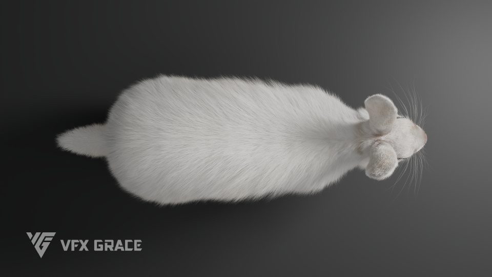White Rabbit Animated - MAYA Character Asset | VFX Grace