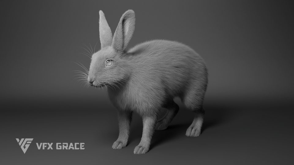 White Rabbit Animated - MAYA Character Asset | VFX Grace