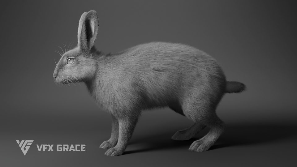 White Rabbit Animated - MAYA Character Asset | VFX Grace