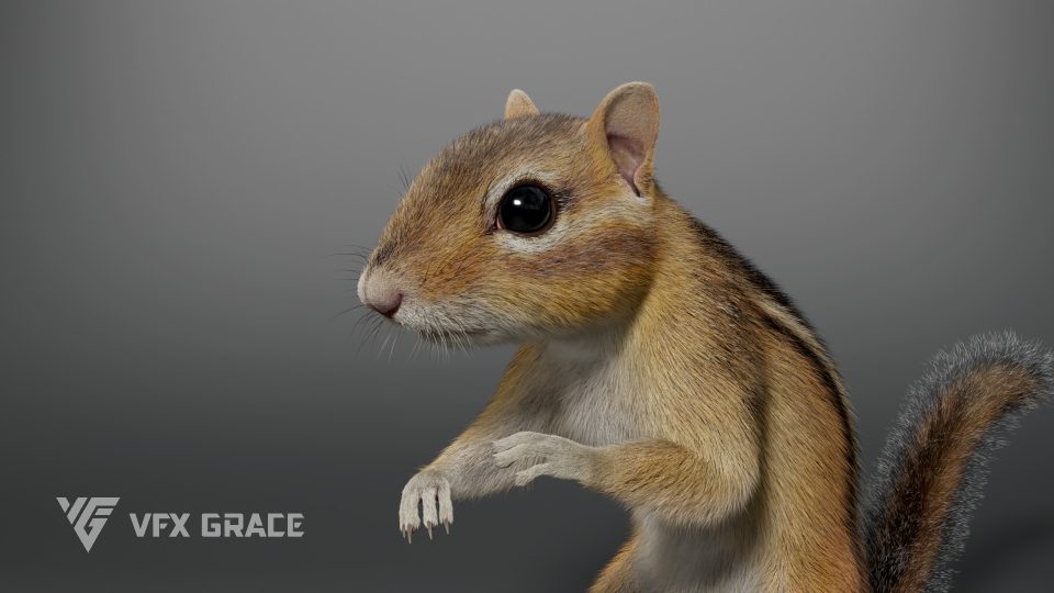 Chipmunk Animated - MAYA Character Asset | VFX Grace