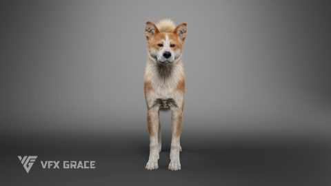 Dog Animated - MAYA Character Asset | VFX Grace