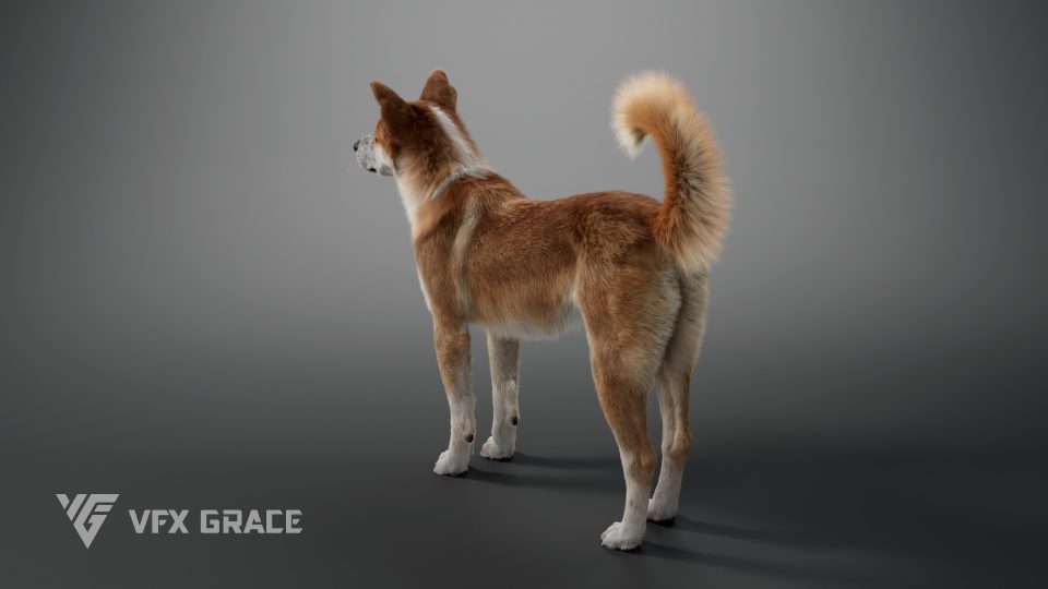 Dog Animated - MAYA Character Asset | VFX Grace