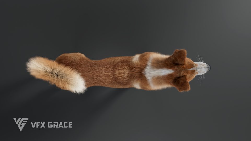 Dog Animated - MAYA Character Asset | VFX Grace