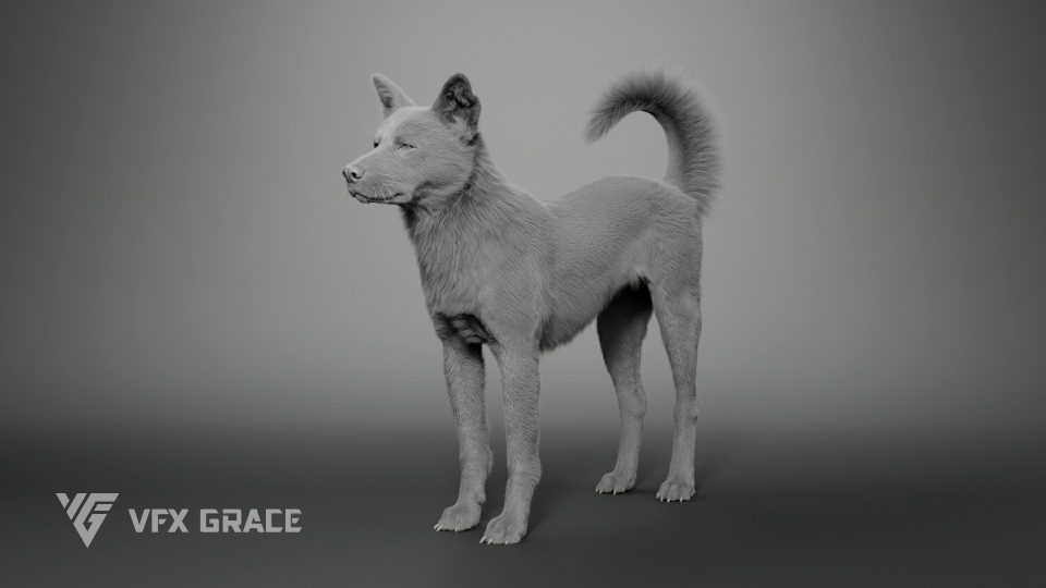 Dog Animated - MAYA Character Asset | VFX Grace