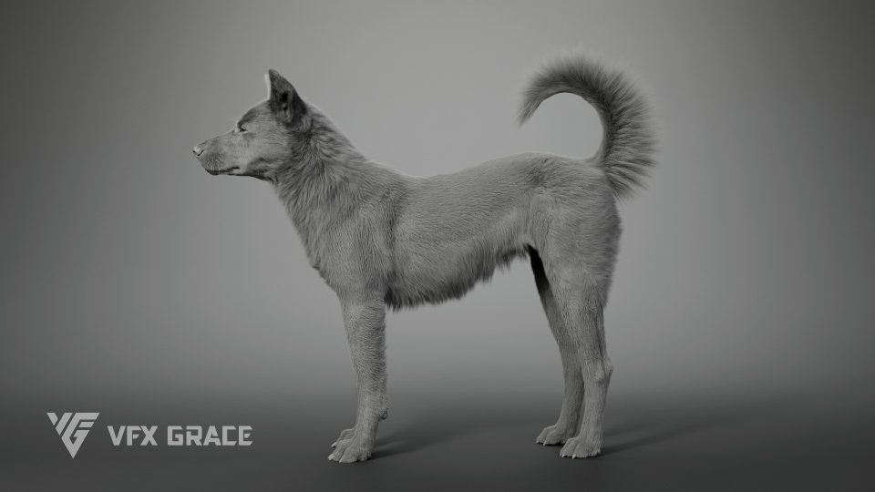 Dog Animated - MAYA Character Asset | VFX Grace