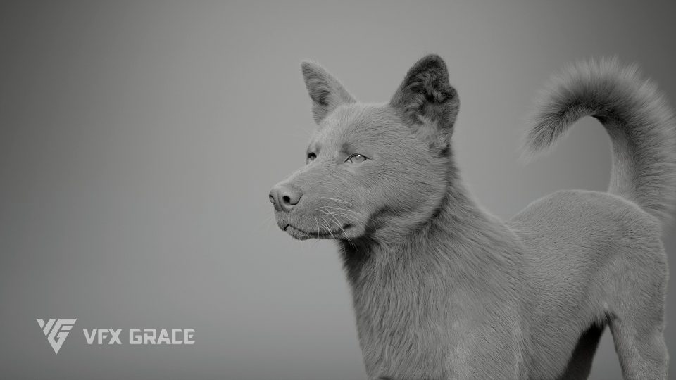 Dog Animated - MAYA Character Asset | VFX Grace