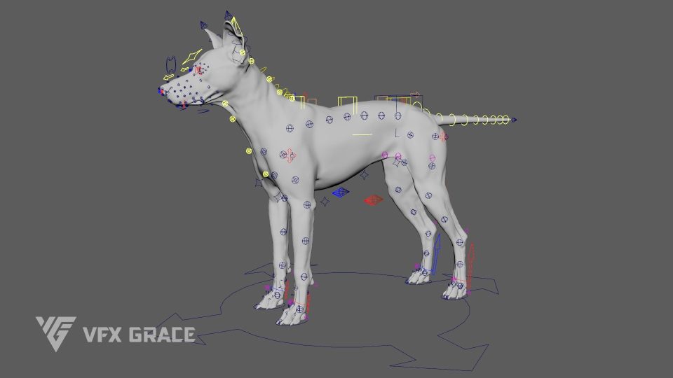 Dog Animated - MAYA Character Asset | VFX Grace